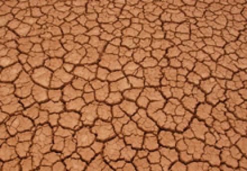 Associação Zero exige aplicação de medidas de combate à seca | Esquerda